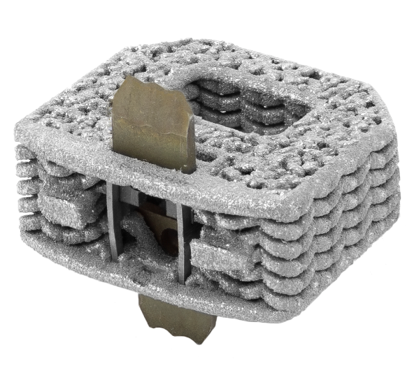 Nexus Spine Announces Launch of Stable-C™ Cervical Interbody System ...